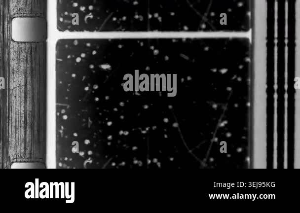 Analog Film Leader 16mm Bacteria Culture Cinematic Look for Virus ...
