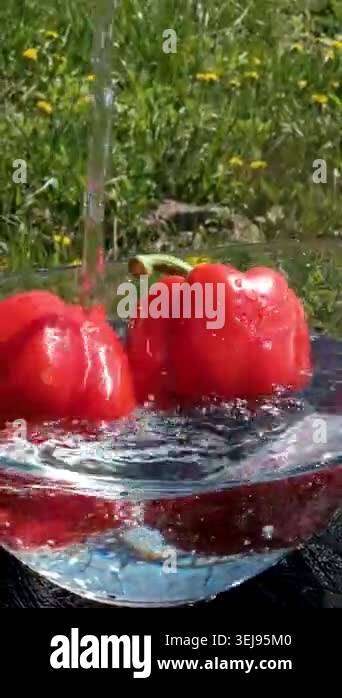 wash the red bell pepper person puts the pepper under water and puts it ...