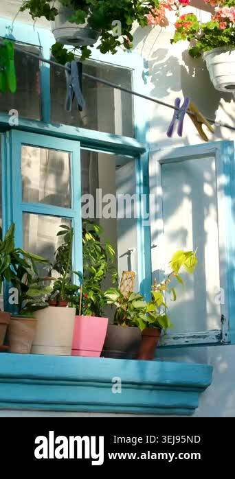 Village house window with numerous colorful potted flowers on the ...