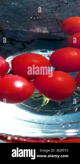 cherry tomatoes in a glass bowl with water on a stump in garden in ...