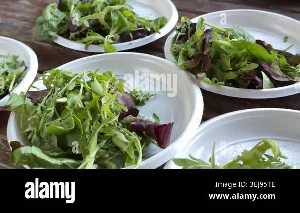 Female hands serving fresh washed salad from plastic package onto ...