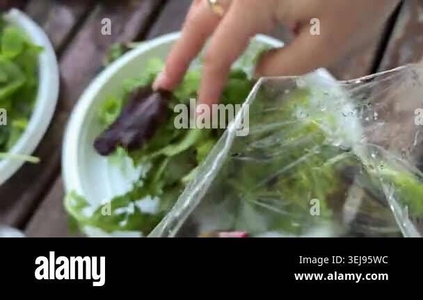 Female hands serving fresh washed salad from plastic package onto ...