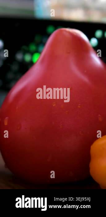 Red elongated tomatoes, yellow bell pepper and fresh zucchini rest in a ...