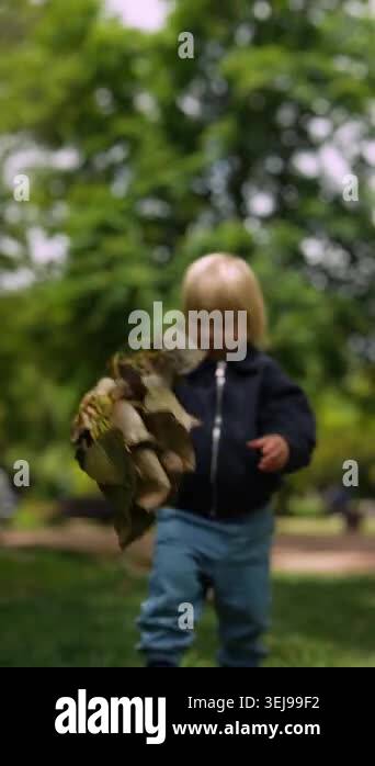 White toddler exploring fallen leaves park, blonde hair in navy jacket ...