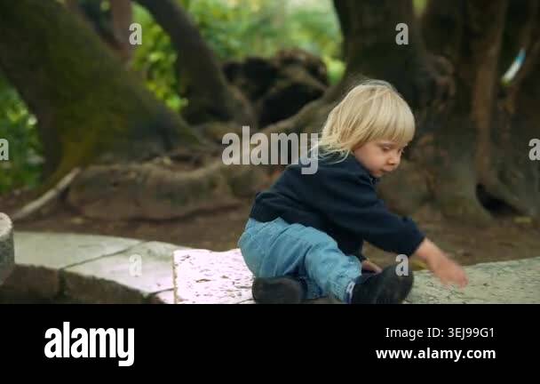 Blonde white toddler by tree roots, sitting on stone ledge near gnarled ...