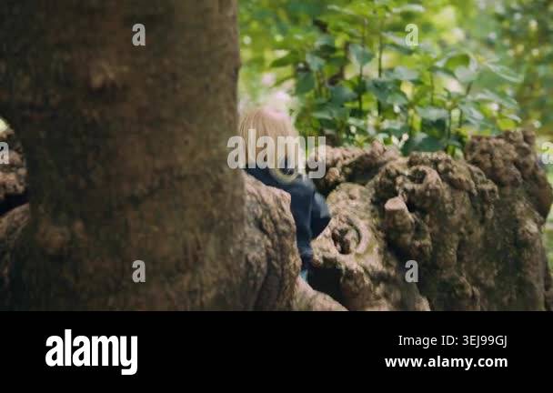 Child hiding behind tree trunk, blonde toddler in denim jacket peeks ...