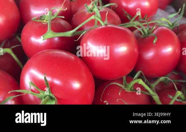Sweet pinkish tomatoes connected to branches in wooden container with ...