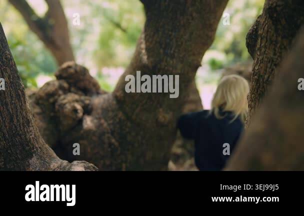 Blonde caucasian toddler exploring gnarled tree roots among dense ...