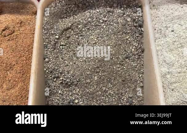 Fine black pepper powder displayed between different seasonings with ...