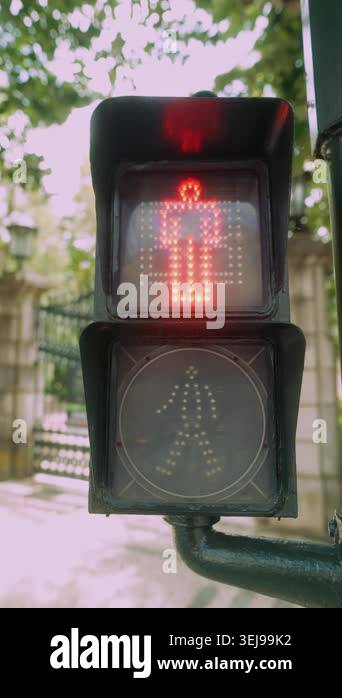 Red stop signal at pedestrian crossing, tourist waiting under leafy ...