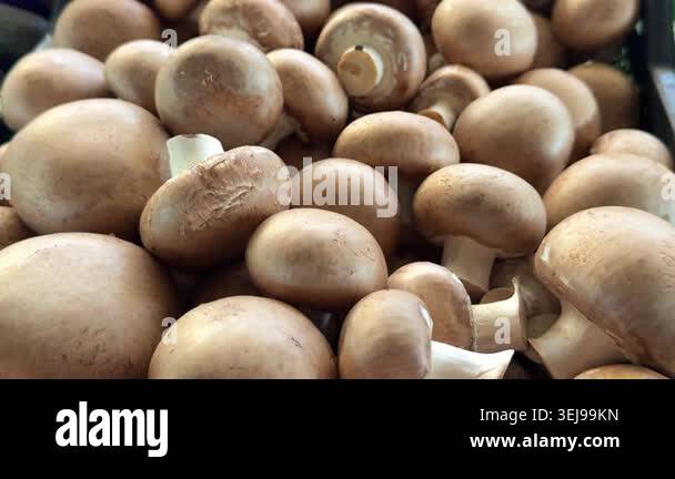 Fresh beige brown champignon mushrooms with darker caps displayed in ...
