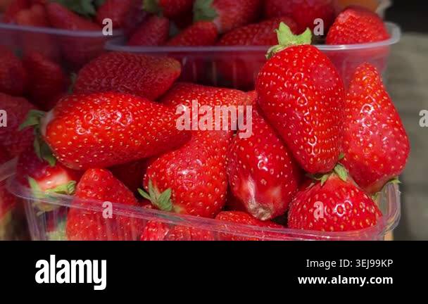 Beautiful elongated strawberries glowing under natural sunlight with ...