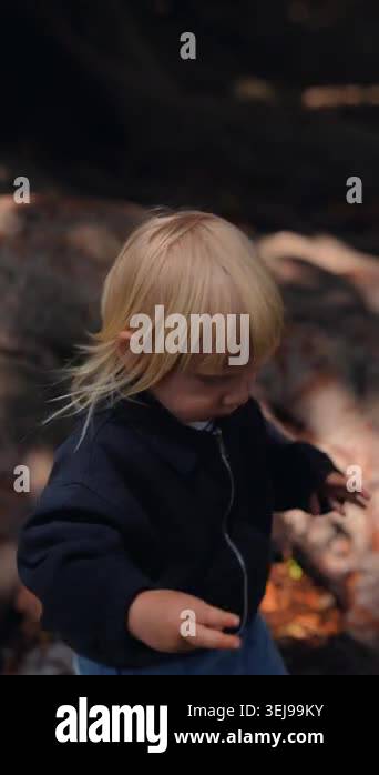 White toddler collecting leaves near tree roots, blonde child stepping ...