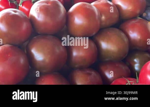 Beautiful fresh tomatoes arranged in pile on market counter with rich ...