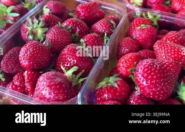 Sweet organic strawberries packed in clear plastic containers on market ...
