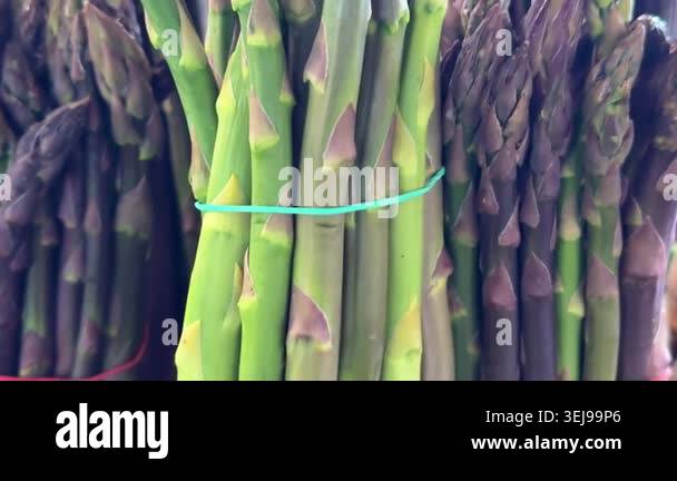 Green asparagus bunches neatly tied and displayed for sale on bazaar ...