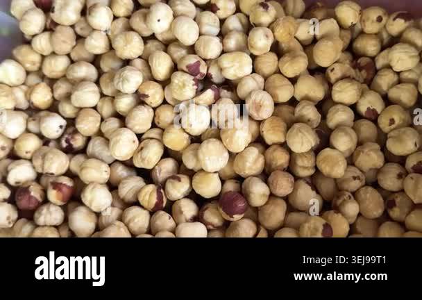 Raw peeled and whole hazelnuts in shells displayed in containers with ...