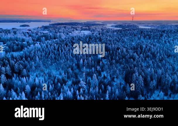 Thick pine tree woods covered with snow. Village in the forest in ...
