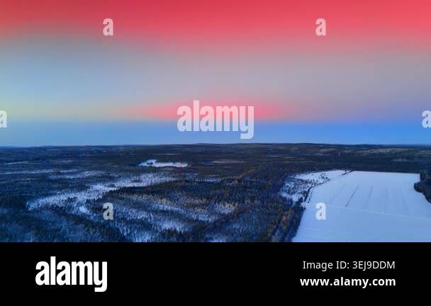 Amazing pink and blue sky over the vast pine tree woods. Wild nature of ...