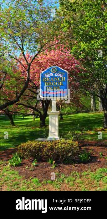 Entrance sign for Branch Brook Park with cherry blossoms. Vertical view ...