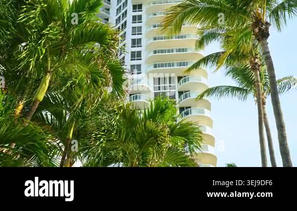 Beautiful green palm trees wave in the wind. Low angle view. Gorgeous ...