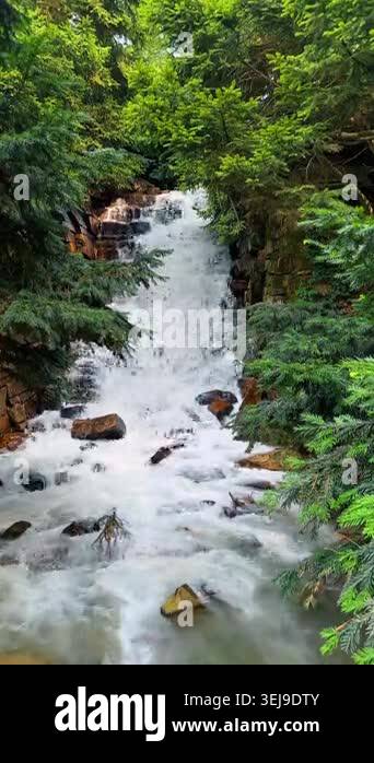 Forest Waterfall Flowing Through Evergreen Rock Garden. Waterfall ...