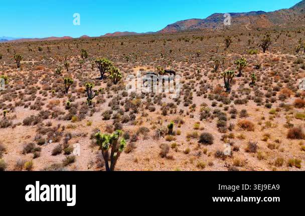 Hot deserted area covered with shrubs and small rare trees. Approaching ...