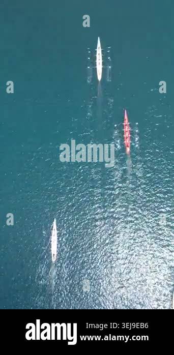 Top Down Aerial View of Rowing Boats Competing in a Race on Turquoise ...