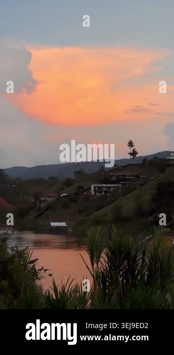 Vertical sunset video of Guatape reservoir framed by tall grass and ...