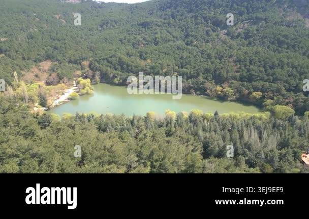 Aerial View of Karagol Lake Surrounded by Dense Green Pine Forest in ...