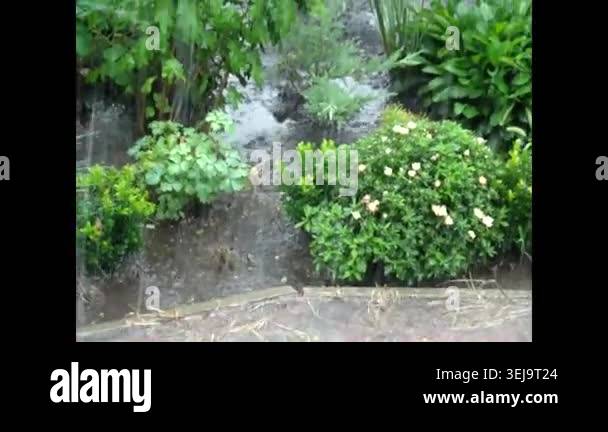 drops of heavy rain fall on the ground Stock Video Footage - Alamy
