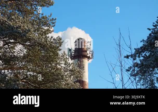 Smoke rises from a factory located in a forest. A sunny frosty winter ...