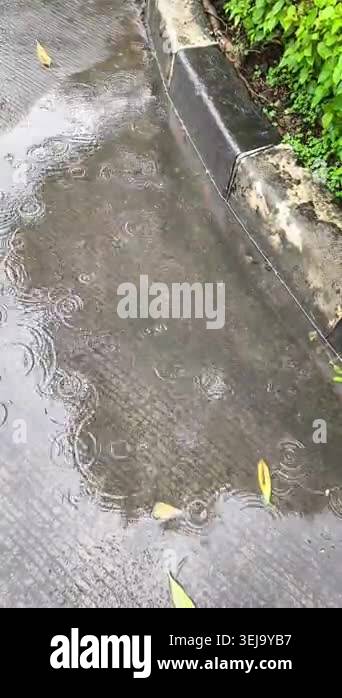 A serene close-up view, showing a gentle drizzle creating mesmerizing ...