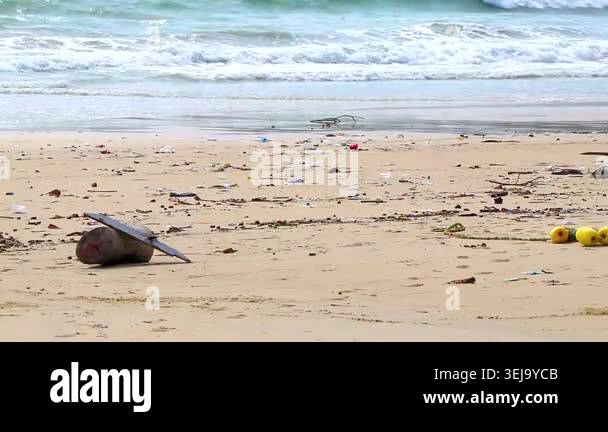 Polluted tropical shoreline filled with floating waste and dirty debris ...