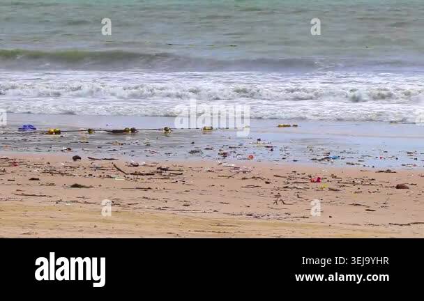 Polluted tropical shoreline filled with floating waste and dirty debris ...