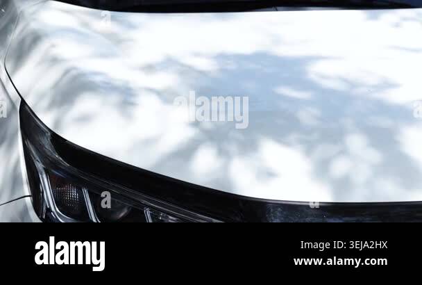 Leaf shadows on a white car hood parked outdoors under sunlight ...