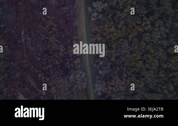 Aerial drone footage of a straight road cutting through dense forest ...