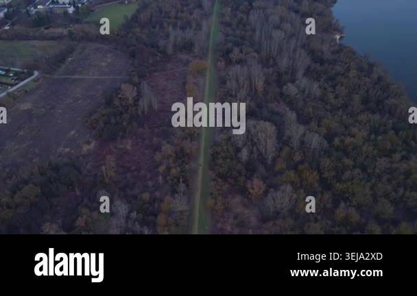 Drone footage of a straight forest road cutting through deciduous ...