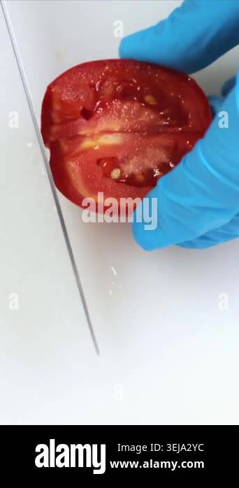 Fresh tomato cutting close up on white kitchen board. Chef hands in ...