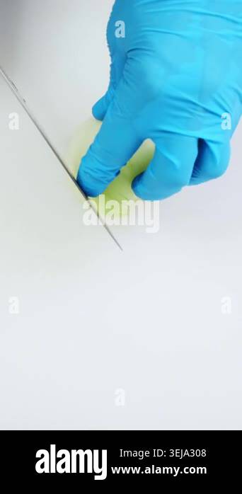 Professional chef hands in blue gloves slicing half onion close up on ...
