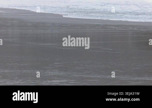 Calm sea waves gently rolling onto a wet, sandy shore. The water's ...