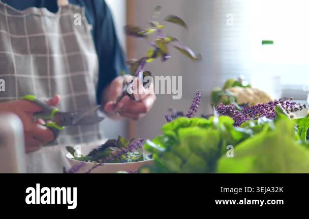 Close up shot of a woman in an apron using kitchen scissors to trim ...
