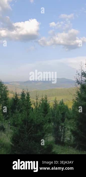 Scenic summer view of the Borzhava Valley in the Ukrainian Carpathians ...