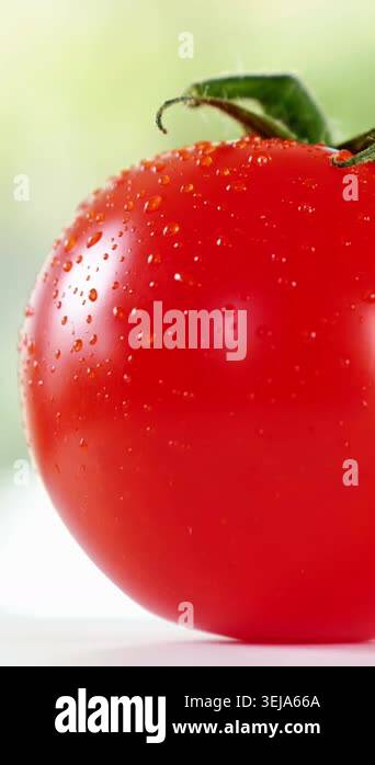 close up of fresh red tomato with water drops and green leaf on blurred ...
