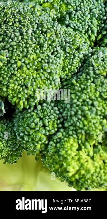close up of fresh green broccoli florets with water drops and organic ...