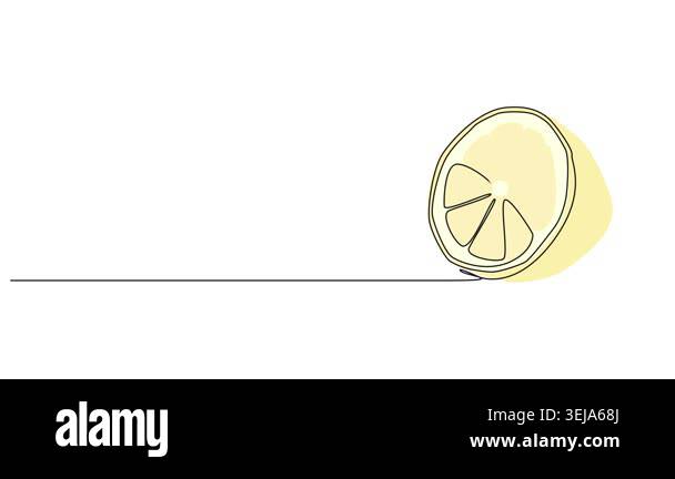 animated continuous line drawing of halved lemon, fresh juicy citrus ...