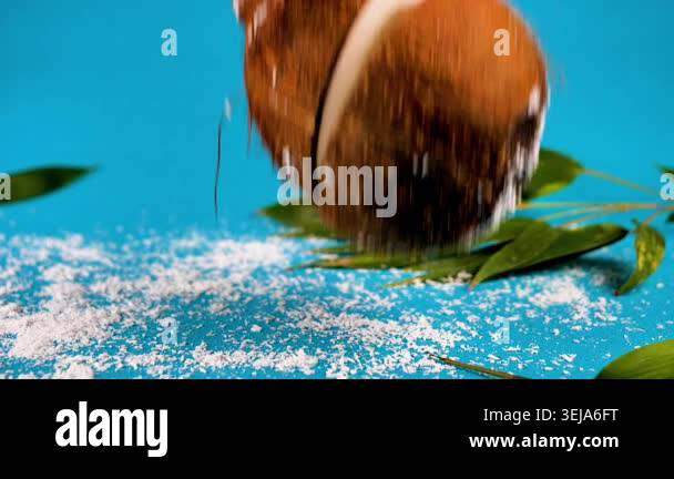 whole coconut falling and cleanly splitting into two halves on blue ...