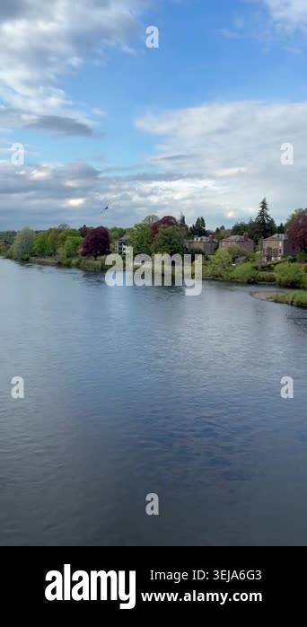 Green trees lining the streets of Perth, Scotland with leafy branches ...