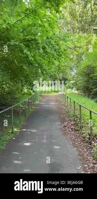 Green trees lining the streets of Perth, Scotland with leafy branches ...