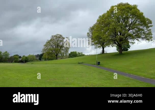 Green trees lining the streets of Perth, Scotland with leafy branches ...